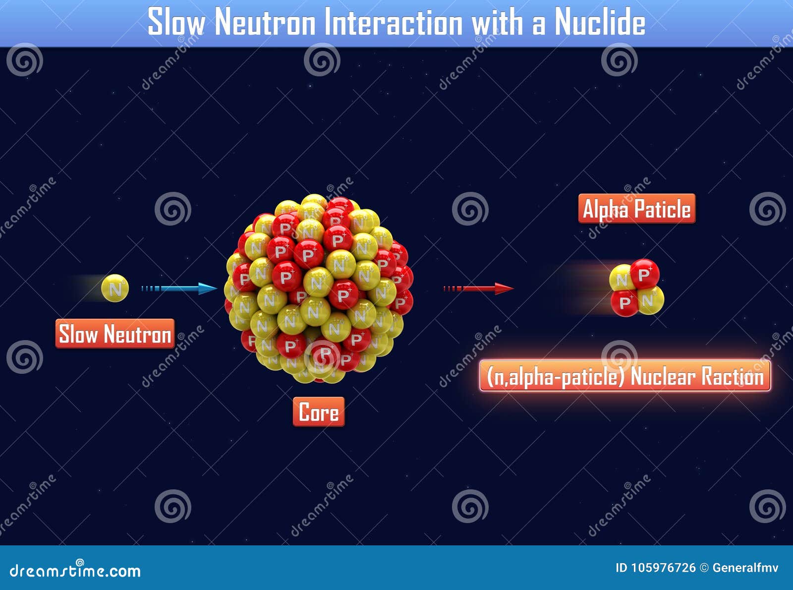 Slow Neutron Interaction with a Nuclide Stock Illustration ...