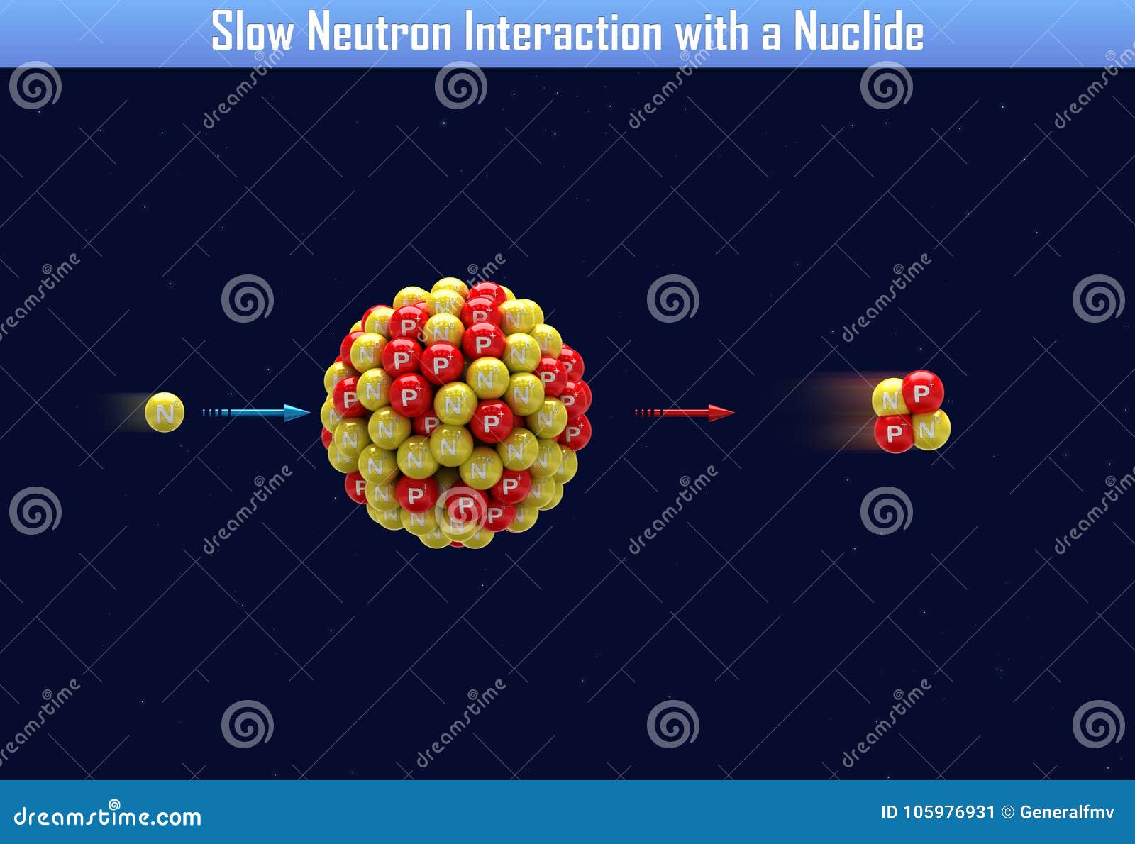 Slow Neutron Interaction with a Nuclide Stock Illustration ...
