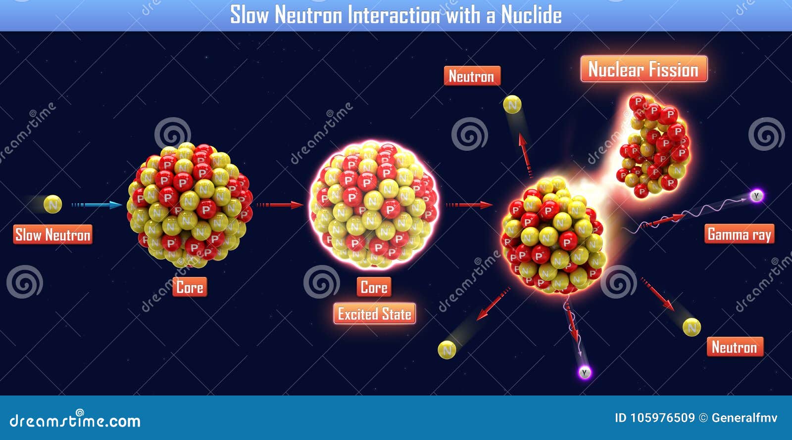 Slow Neutron Interaction With A Nuclide Stock Illustration ...
