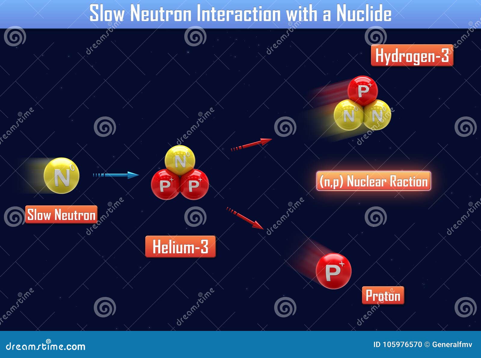Slow Neutron Interaction with a Nuclide Stock Illustration ...