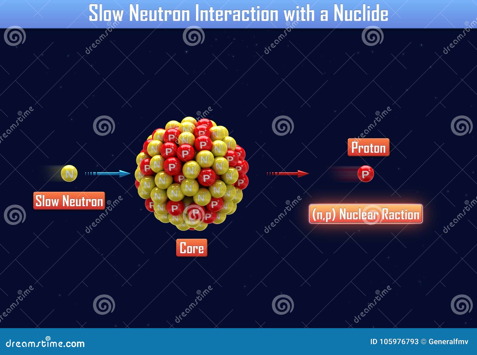 Slow Neutron Interaction with a Nuclide Stock Illustration ...