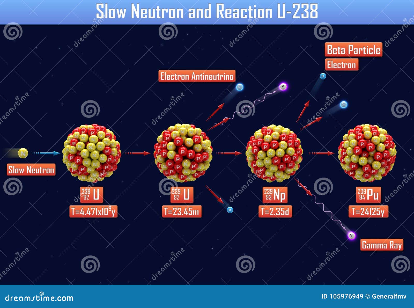 Slow Neutron and Reaction U-238 Stock Illustration - Illustration of ...