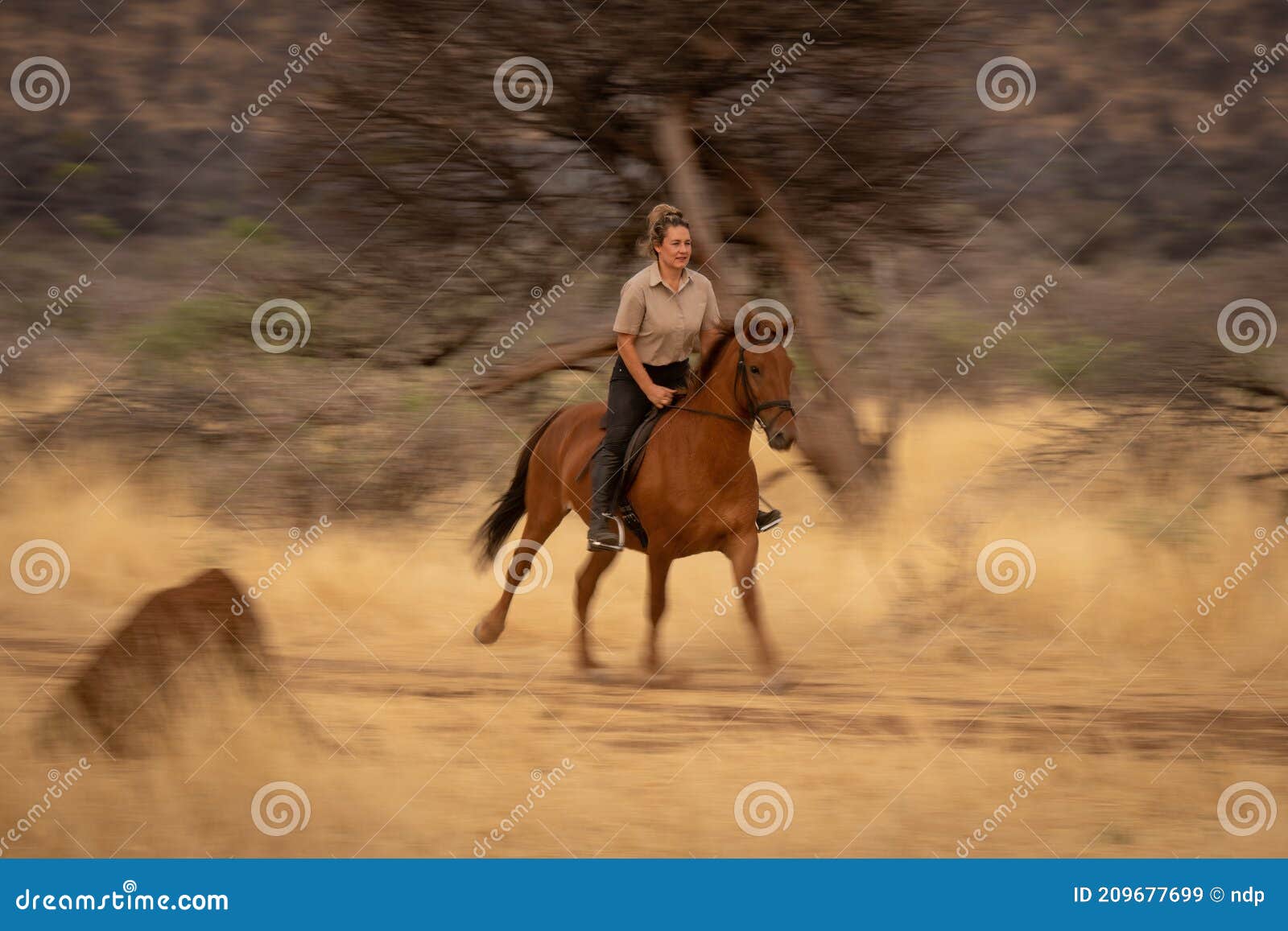 Slow Pan of Blonde Riding on Track Stock Image - Image of equus, person ...