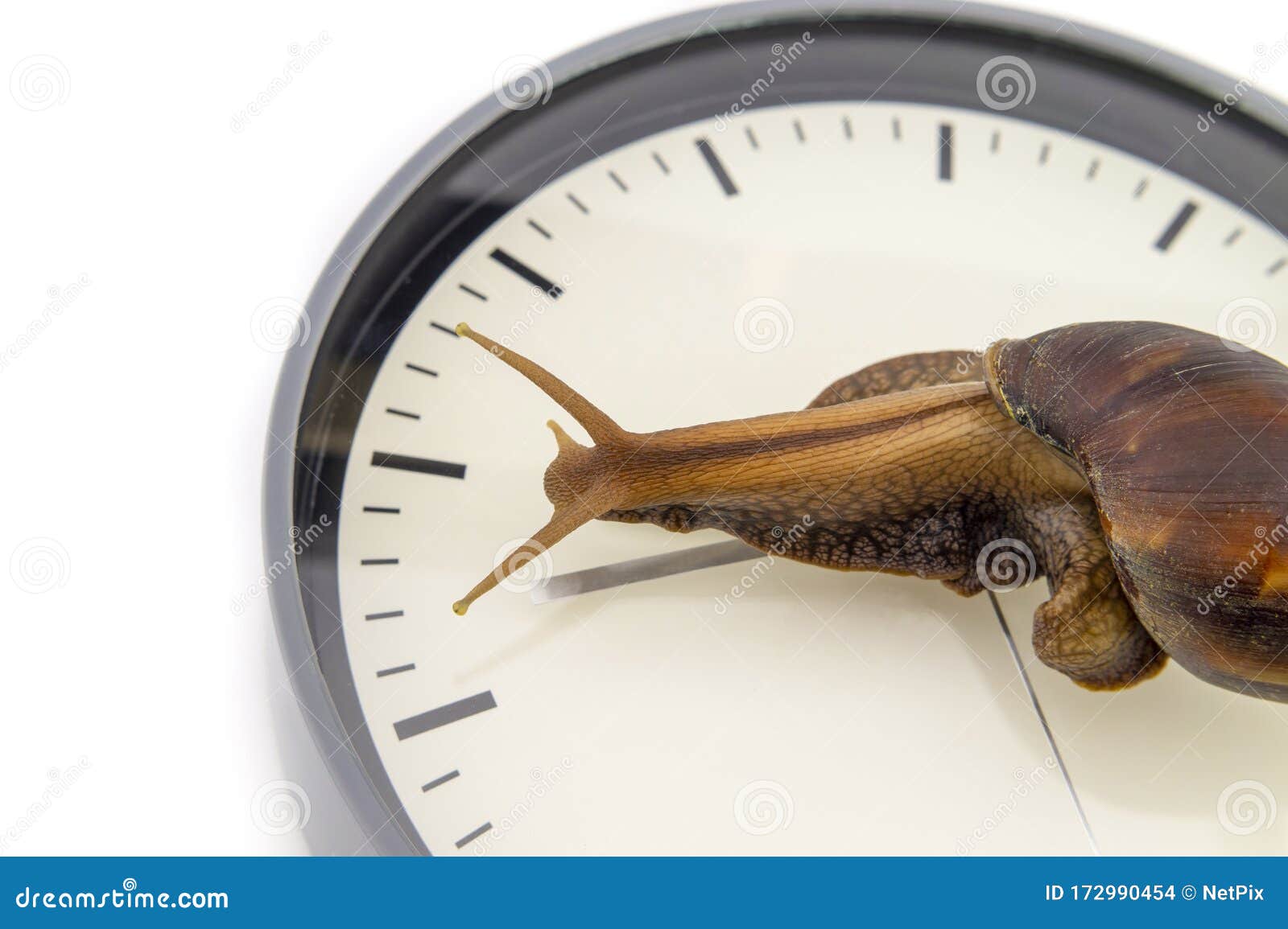 Slow Passing of Time Conceptual Image Stock Photo - Image of nature ...