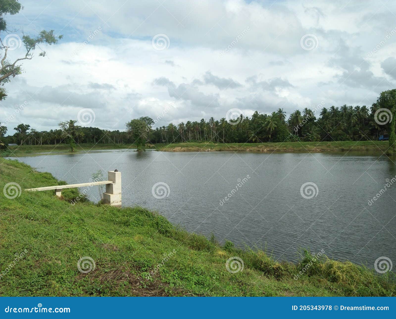Slow River Meandering Winding Grass And Coconut Tree Stock Photography ...