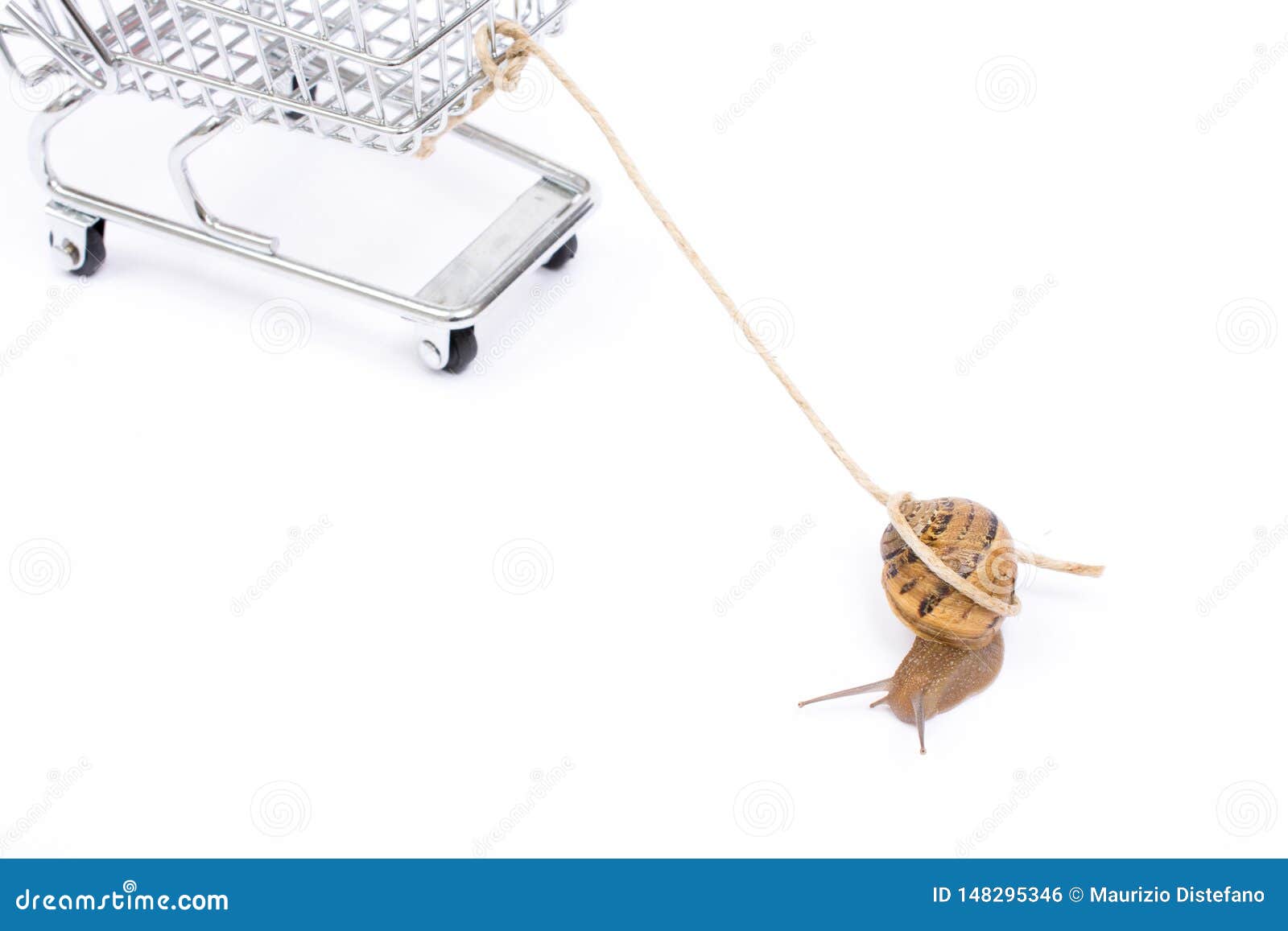 Slow Shopping Concept. Snail Pull a Cart with Copy Space Stock Photo ...