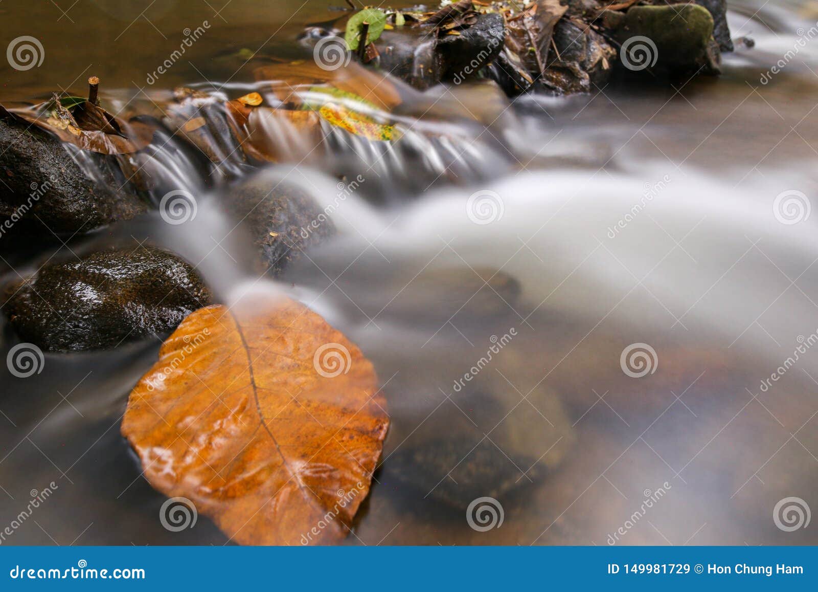 Slow Shutter Capturing Flowing Water of Cascading Trickling Stream in ...