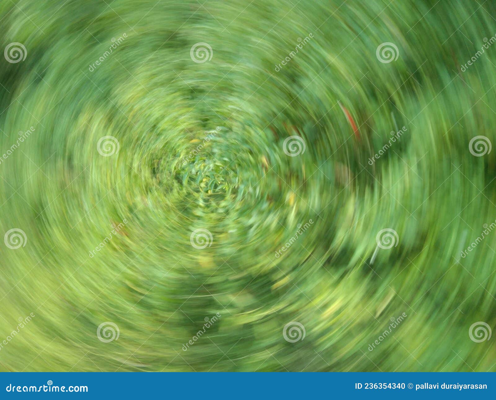 Slow Shutter Speed Nature Art Stock Photo - Image of flower, reflection ...