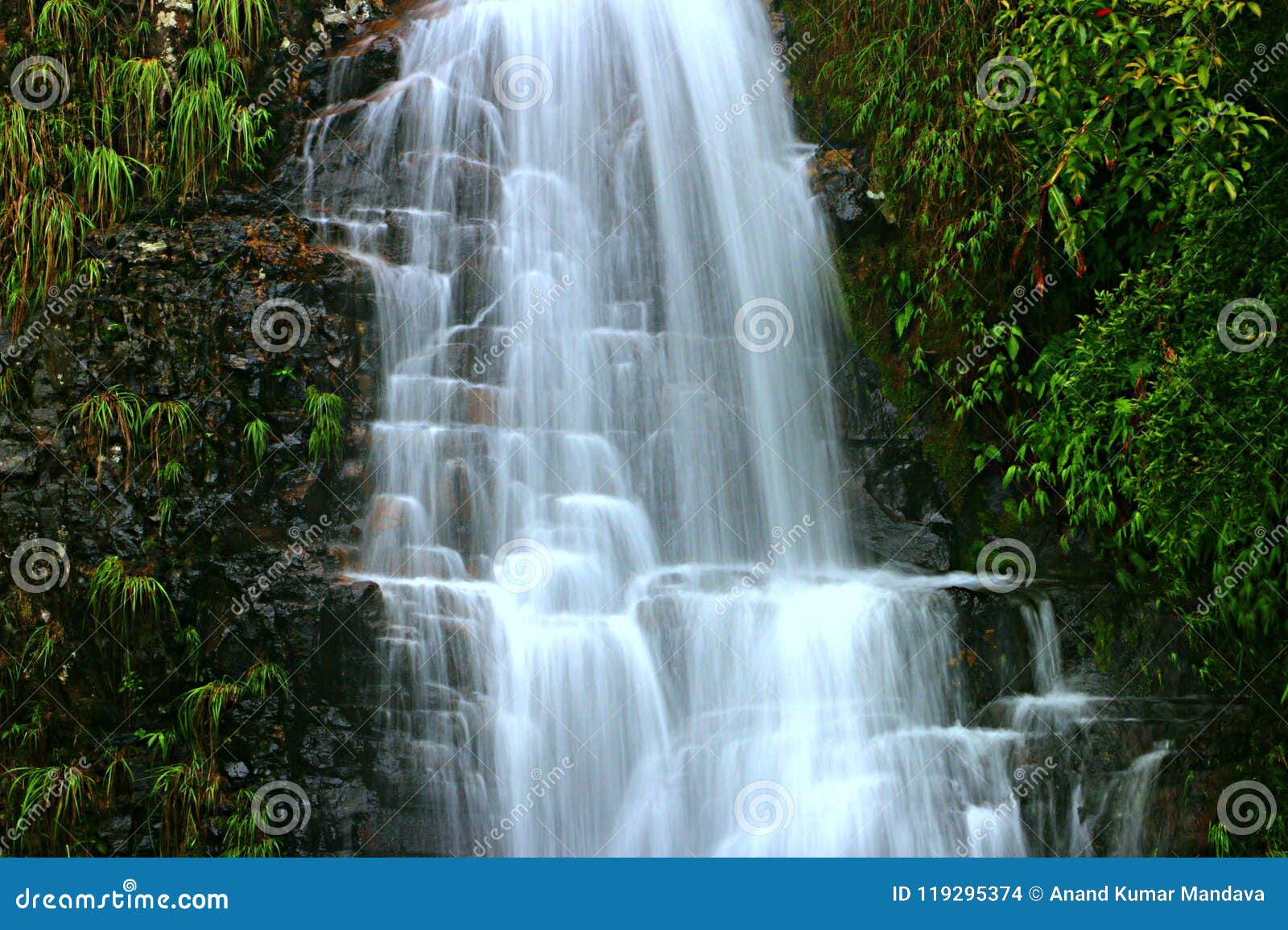 Magical Waterfall In New Zealand Stock Photography | CartoonDealer.com ...