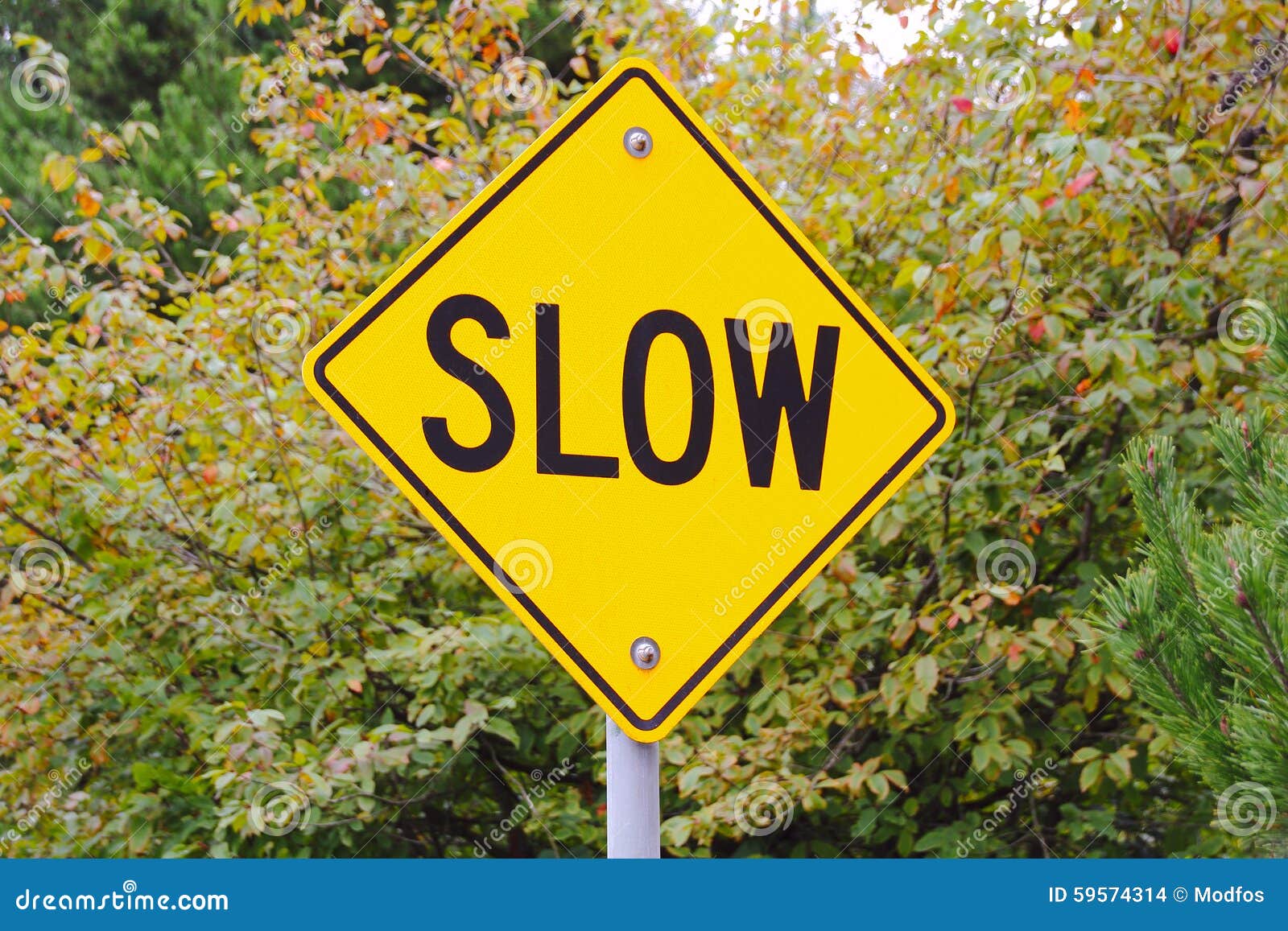 Slow Sign stock photo. Image of road, bold, sign, detail - 59574314