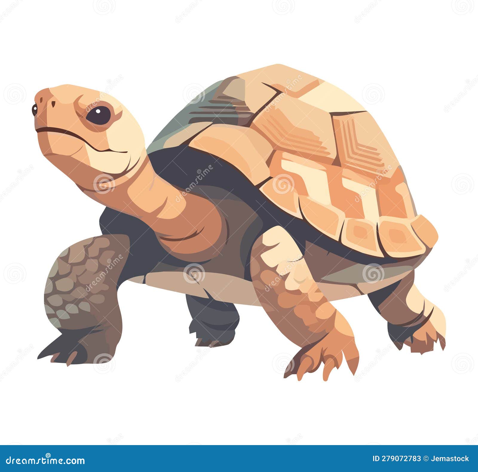 Slow and Steady Tortoise Walking Stock Vector - Illustration of speed ...
