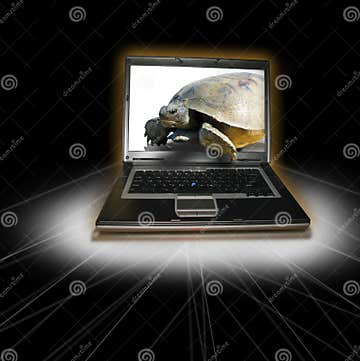 Slow technology stock image. Image of connectivity, turtle - 6468653