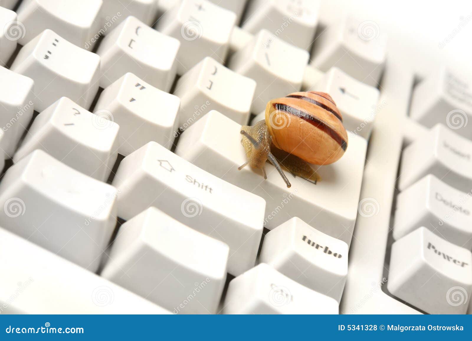 Slow Working Computer Concept Stock Photo - Image of chase, isolated ...
