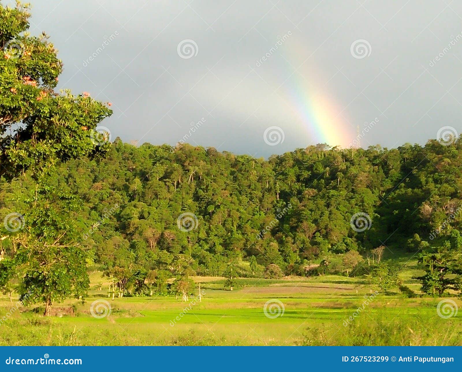 Rainbow Fading in the Afternoon Stock Image - Image of fading, green ...