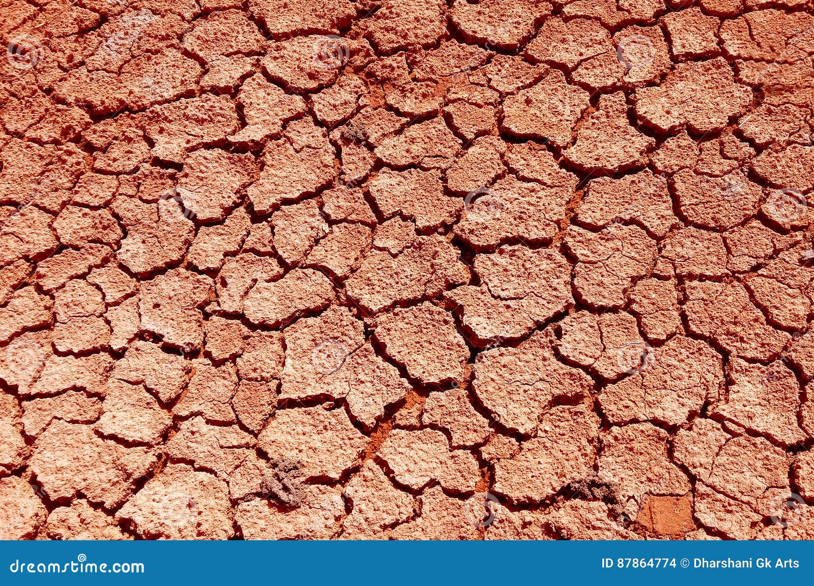 Dried Sludge Treatment From Wastewater Management System, Dried Sludge ...