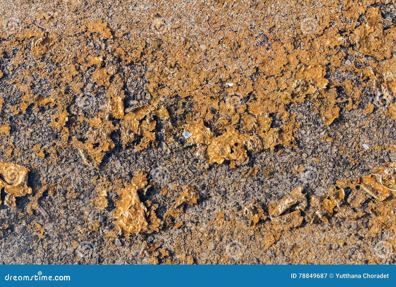 Sludge is Formed from Mineral Hot Springs Stock Image - Image of sludge ...