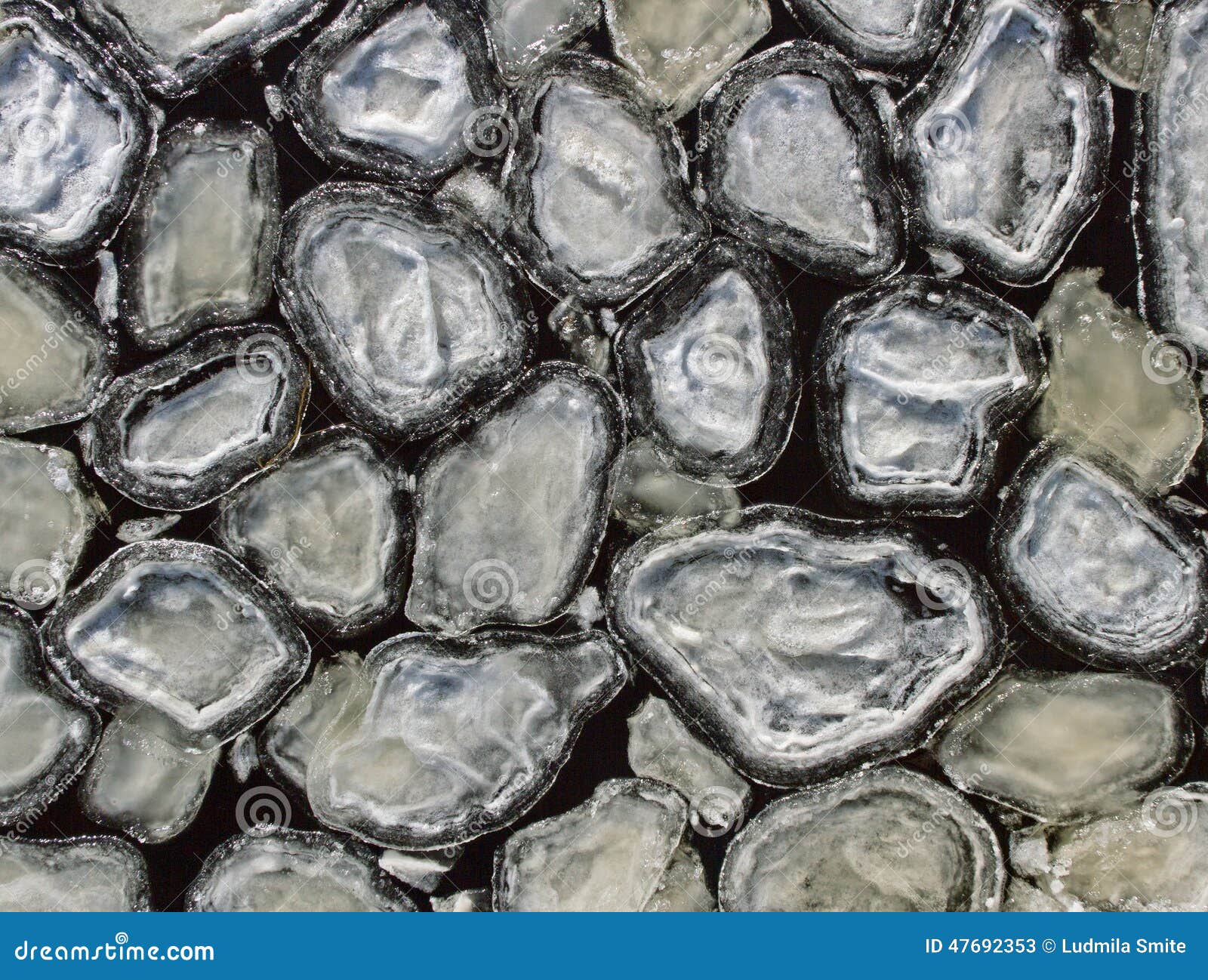 Sludges on water. stock image. Image of motion, cracked - 47692353