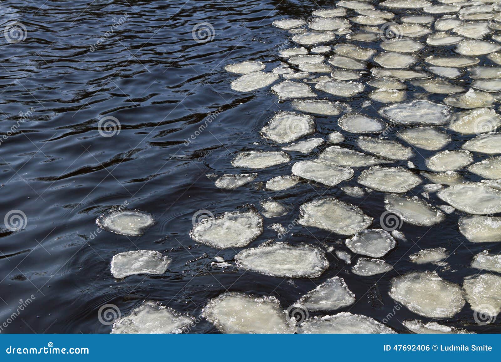 Sludges on water. stock photo. Image of beautiful, abstract - 47692406