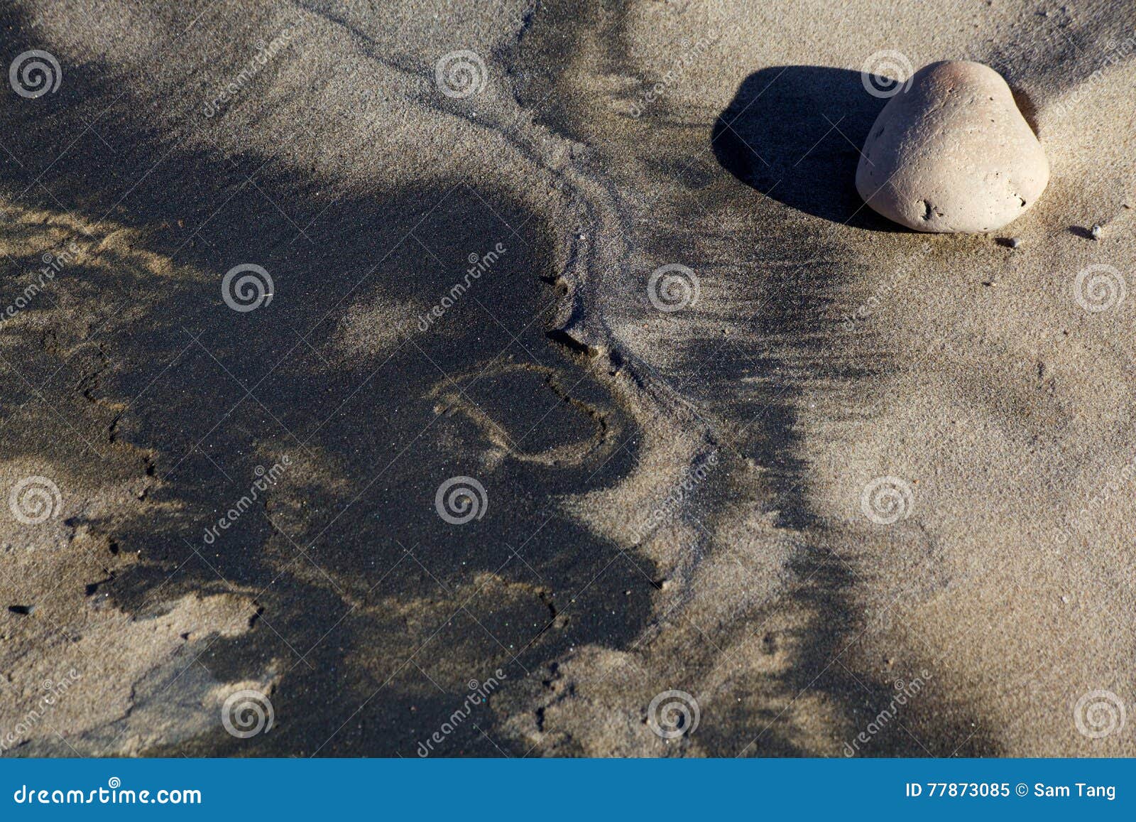 Sludgy Shoreline Punished by Pollution Stock Image - Image of disaster ...