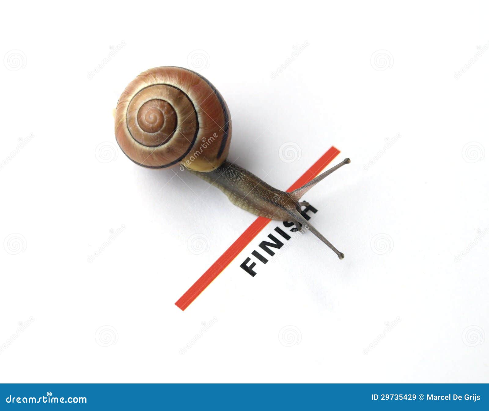 Finish stock image. Image of slug, reach, fast, start - 29735429