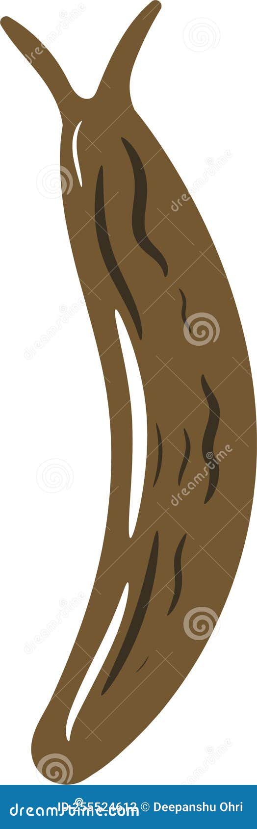 Land Slug stock vector. Illustration of realistic, slime - 255524612