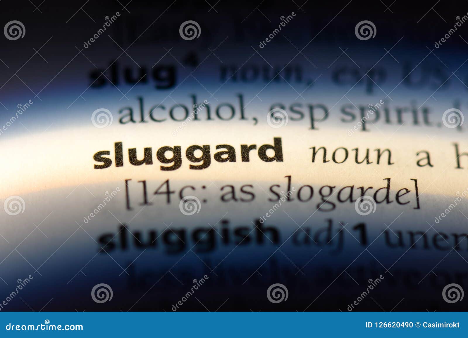 Sluggard stock photo. Image of closeup, page, macro - 126620490
