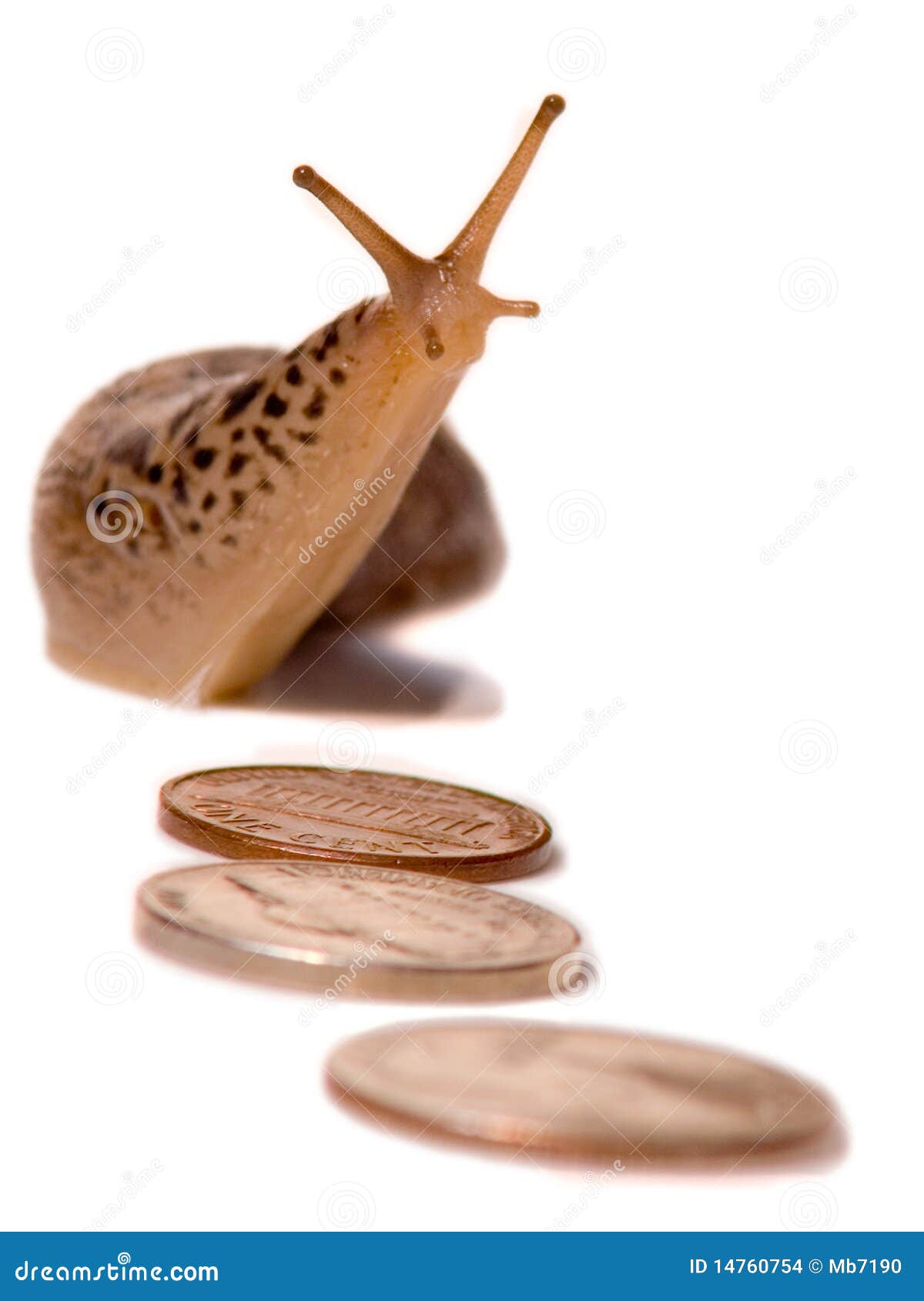 Sluggish Market stock photo. Image of penny, macro, investment - 14760754