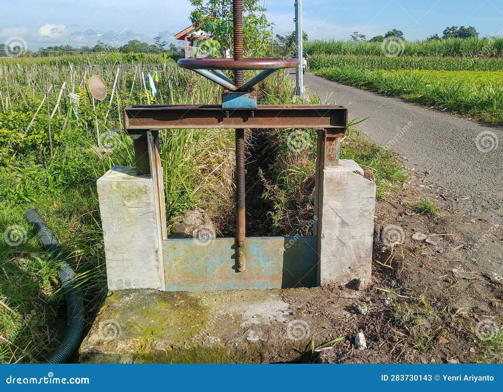 Rice Field Gates