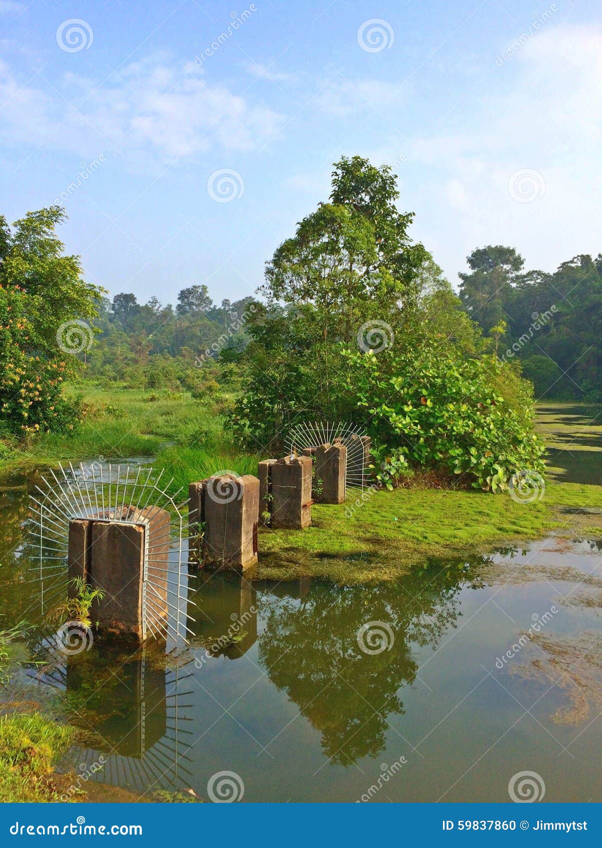 Sluice gates stock photo. Image of wheel, flow, gates - 59837860