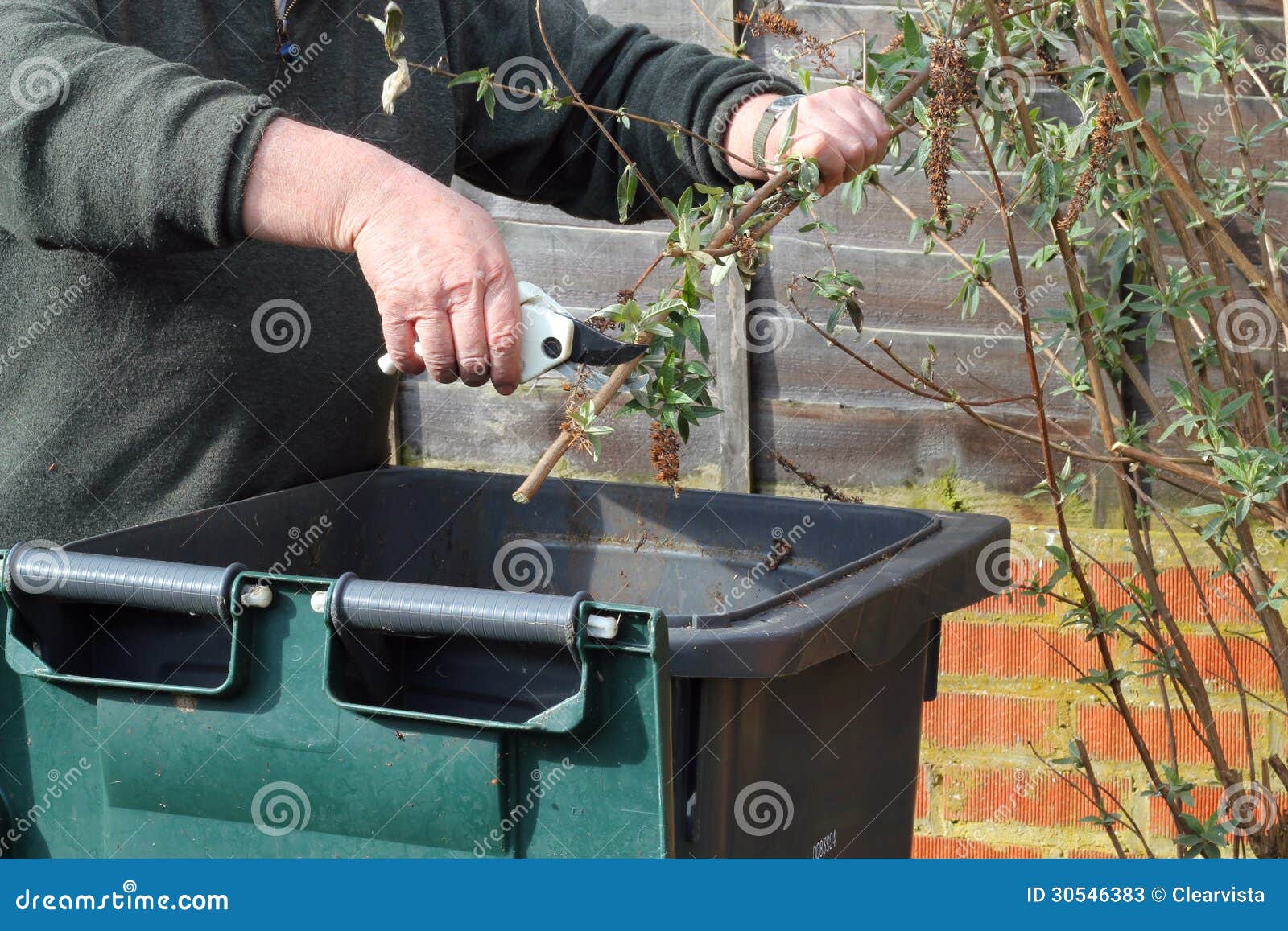 Sluit Omhoog Van Het Recycling Van Tuinafval. Stock Afbeelding - Image ...