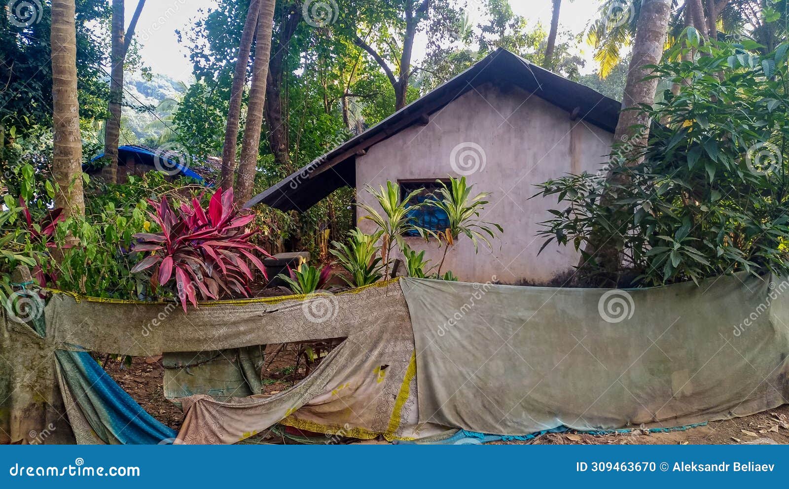 Slum House in Countryside of India Stock Photo - Image of dirty, hindu ...