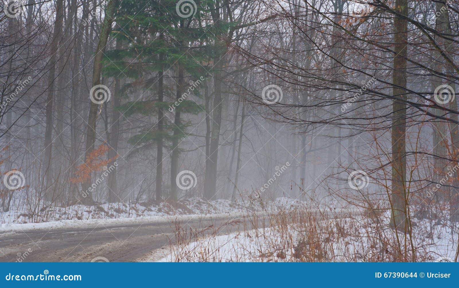 Slush on the road stock photo. Image of season, landscape - 67390644