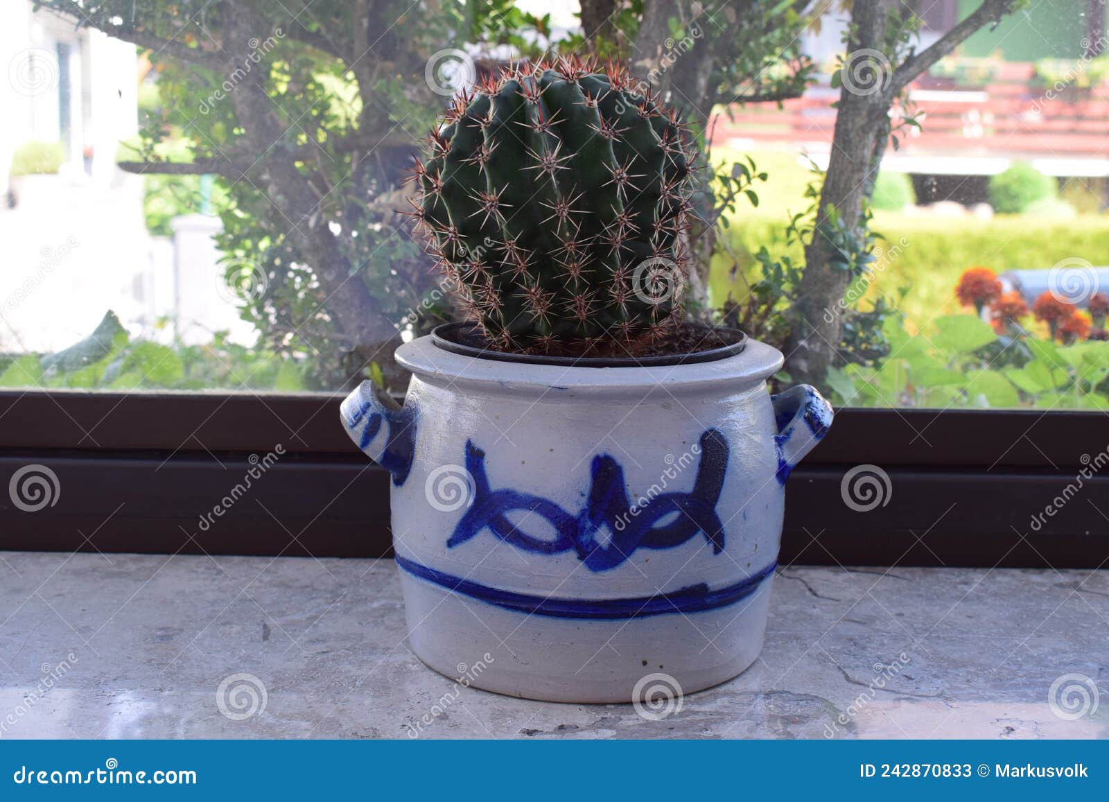 Smal Cactus in a Slat Glazed Pot Stock Image - Image of sculpture ...