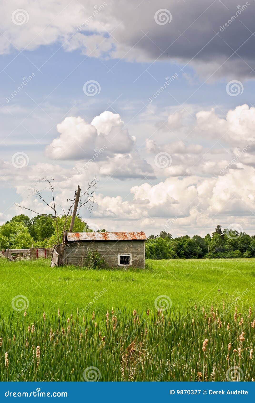 Small, Abandoned Shack in the Country Side Stock Image - Image of cabin ...