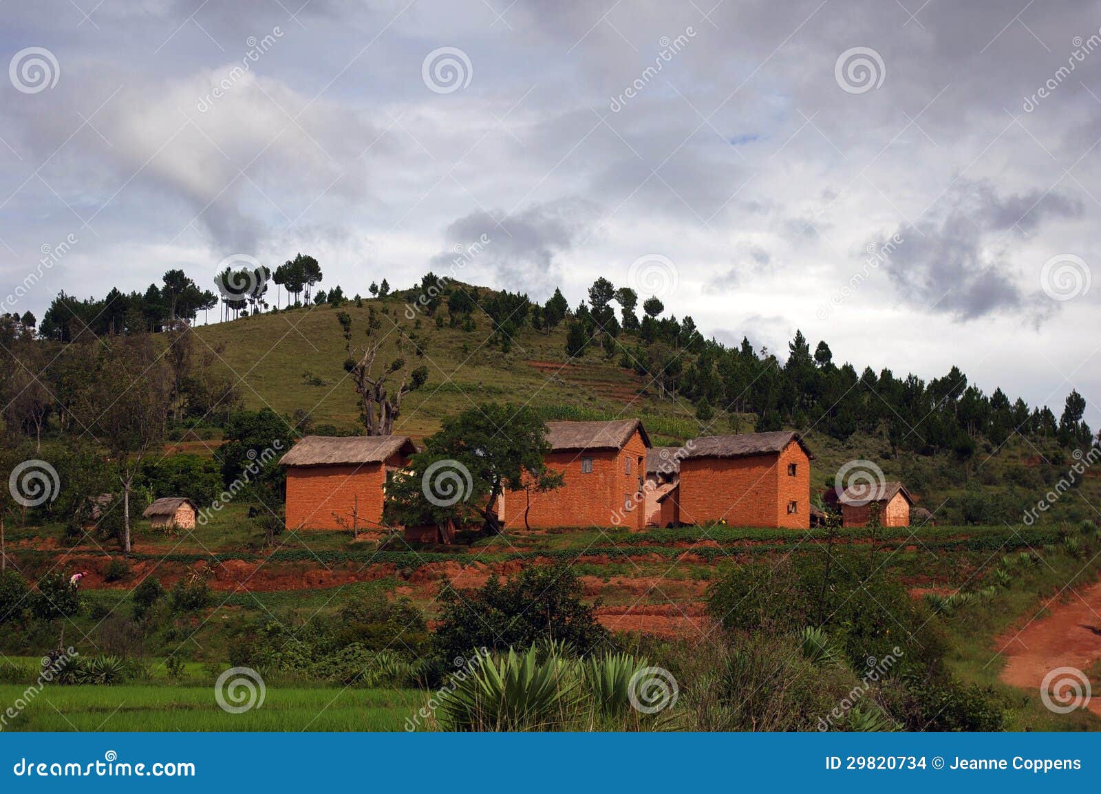 Madagascar village. stock photo. Image of summer, tranquil - 29820734