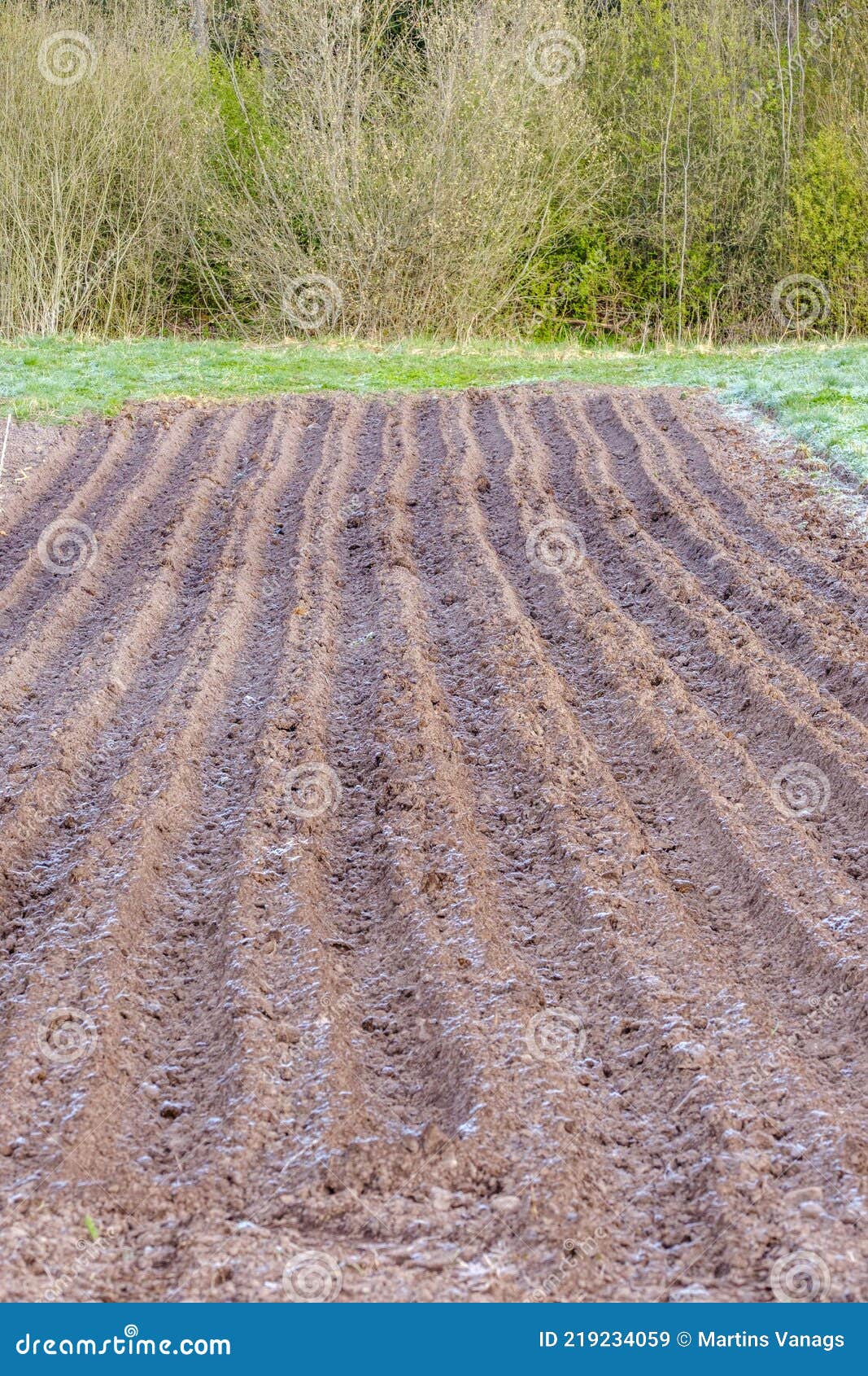Small Agriculture Field with Plow Marks Stock Image - Image of family ...