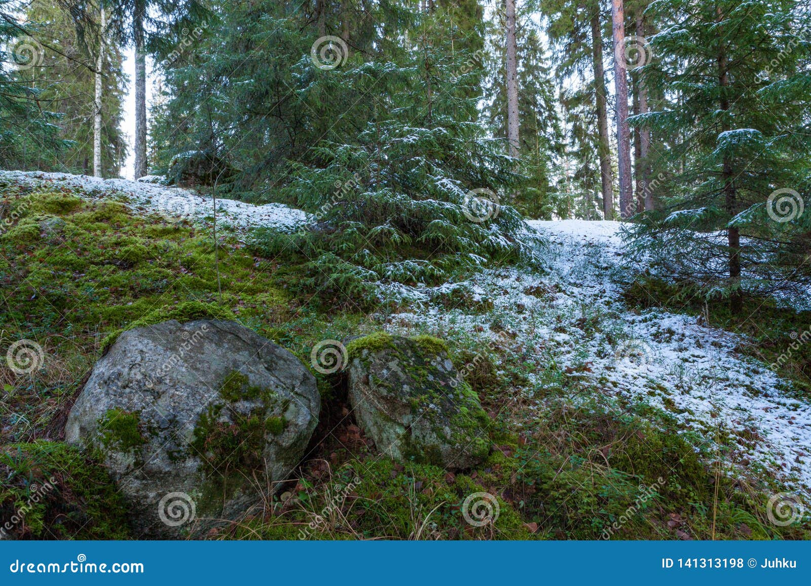 Small Amount of Snow in Forest Landscape Stock Photo - Image of trees ...