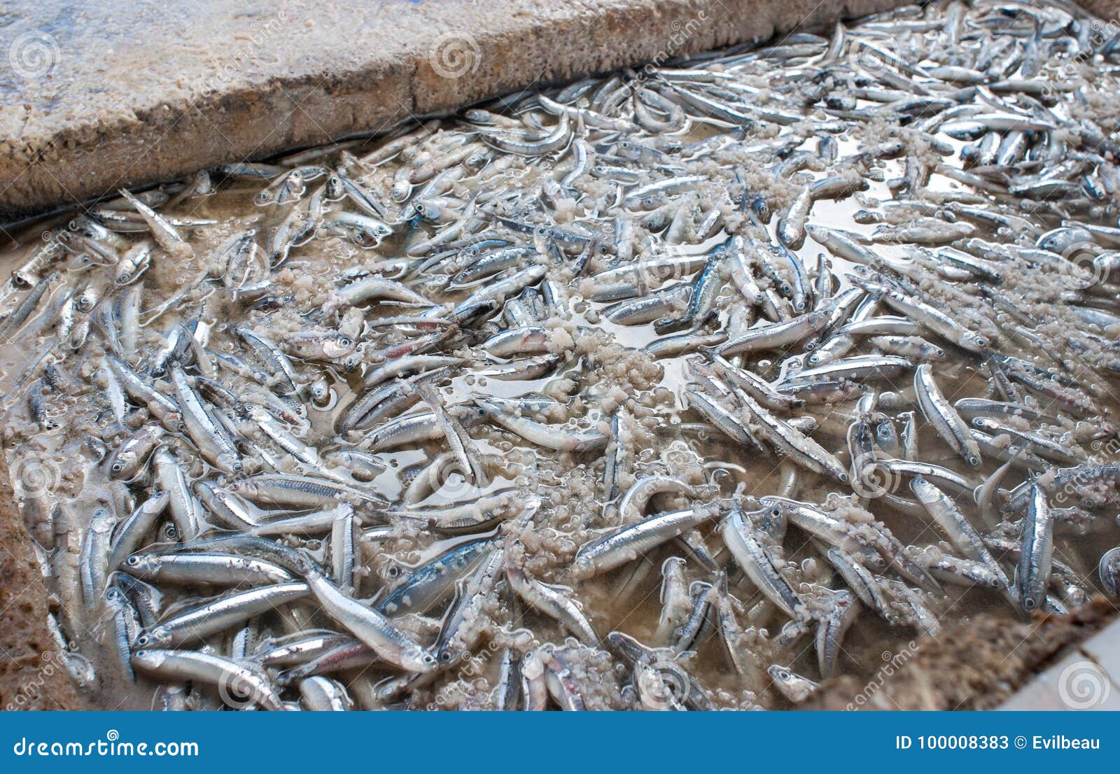 Small Anchovy stock image. Image of heap, cuisine, glass - 100008383