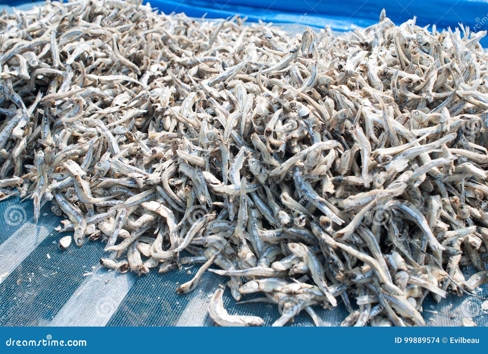 Small Anchovy stock photo. Image of seafood, small, white - 99889574