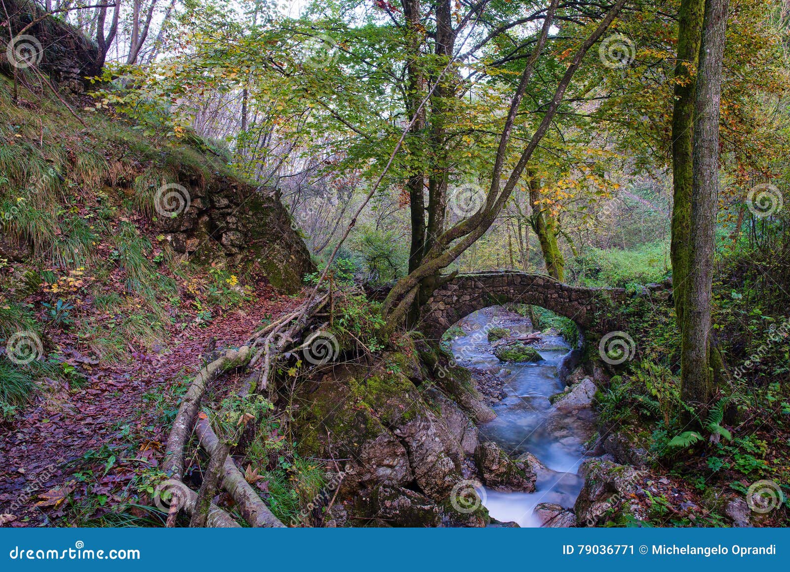 Small Ancient Bridge of Rocks in a Creek in the Woods Stock Image ...