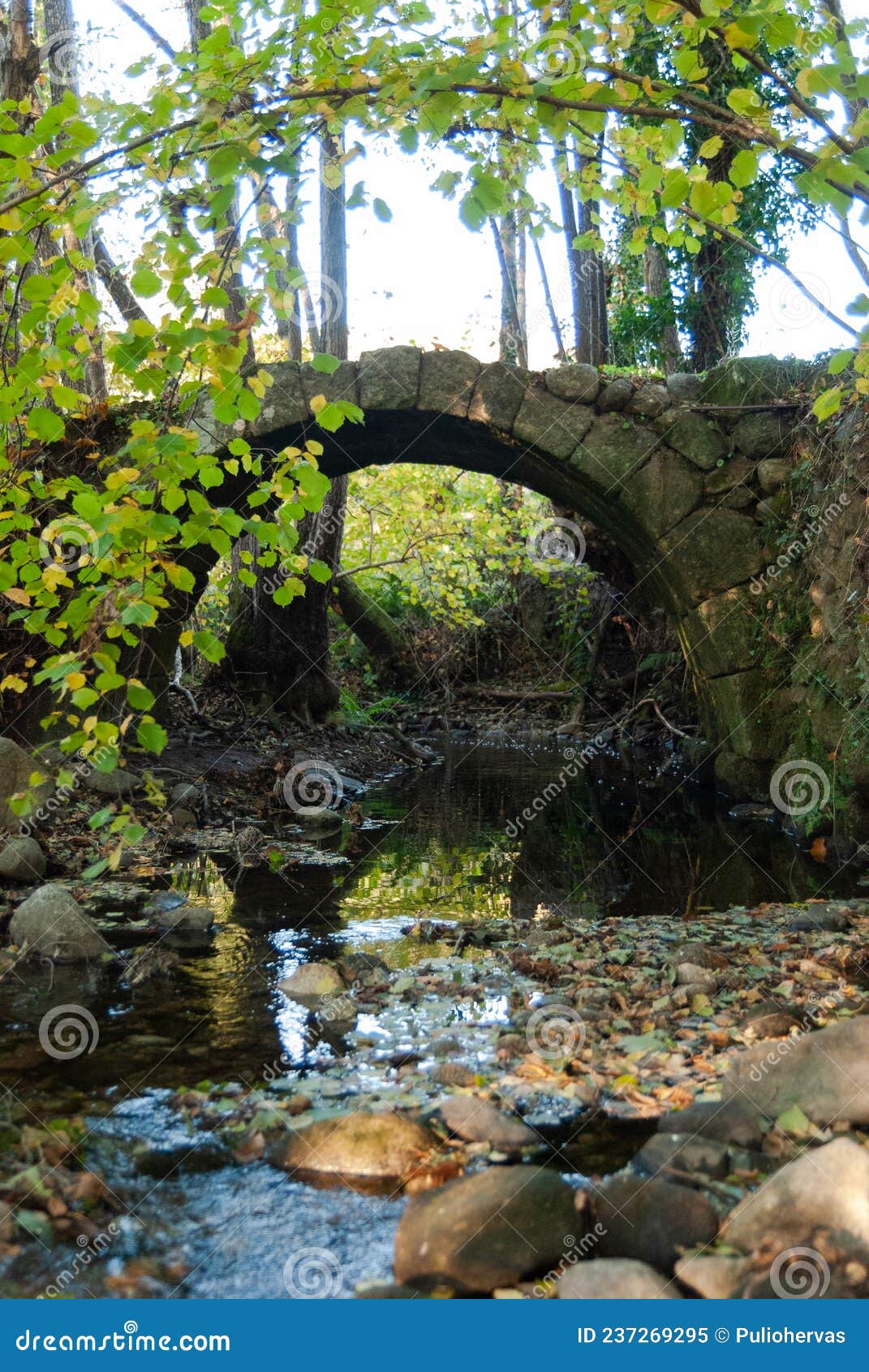 Small Ancient Stone Bridge Over Water Stream in Autumn Stock Image ...