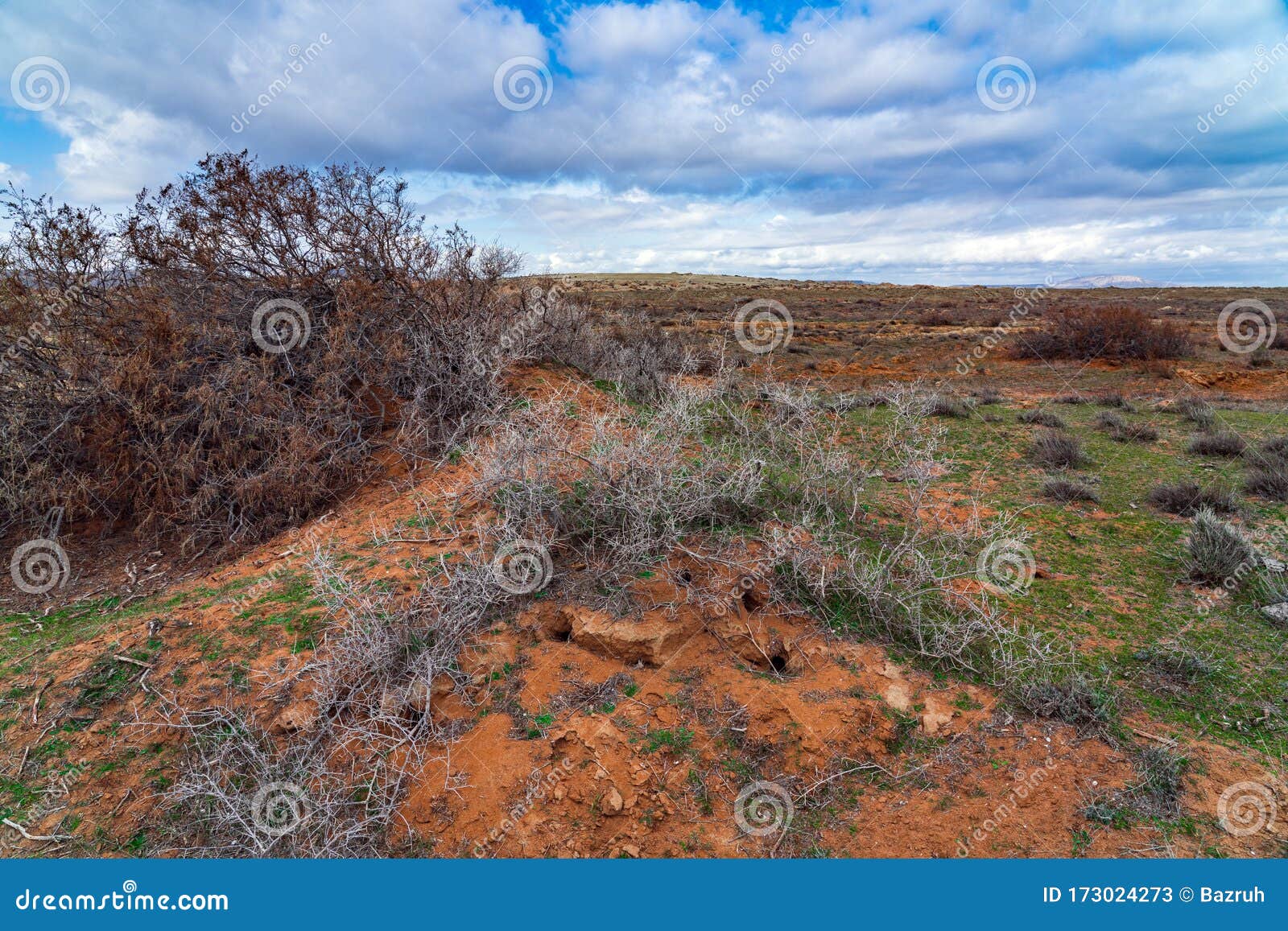 Small Animal Burrows in the Field Stock Image - Image of ground ...