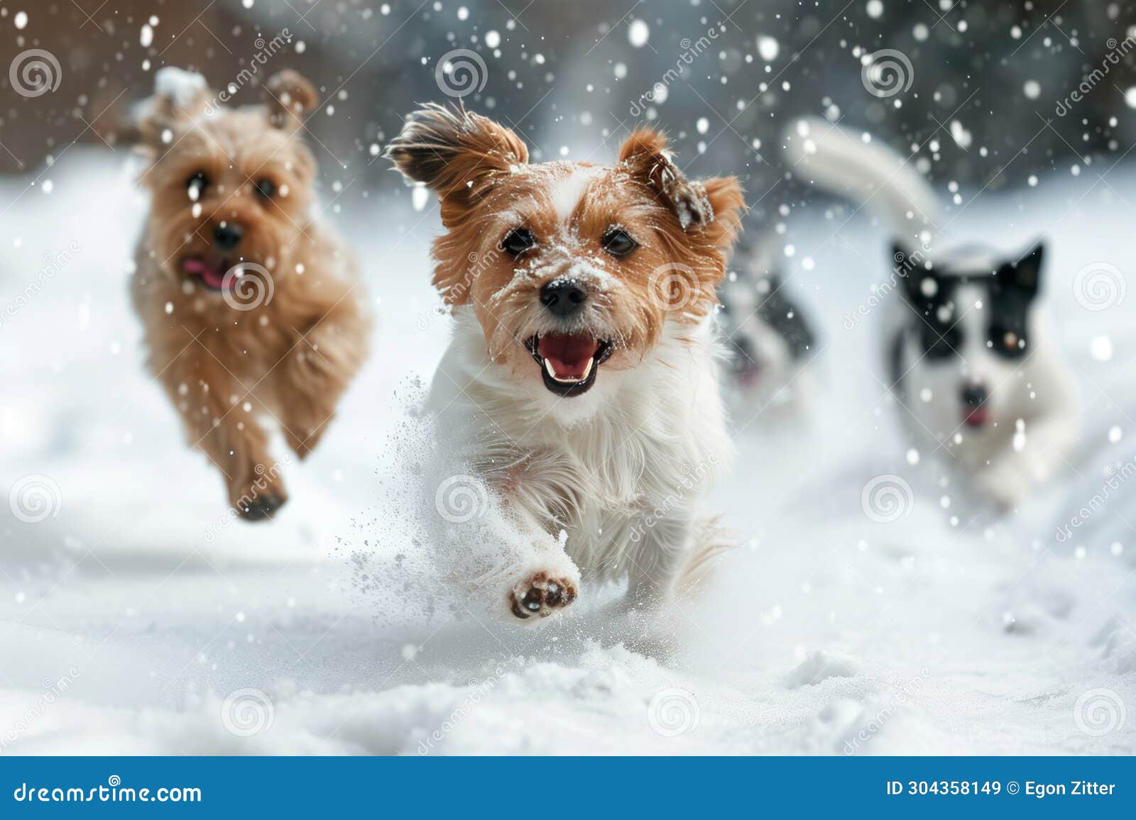 Small Animals in the Snow Playing Together Stock Illustration ...