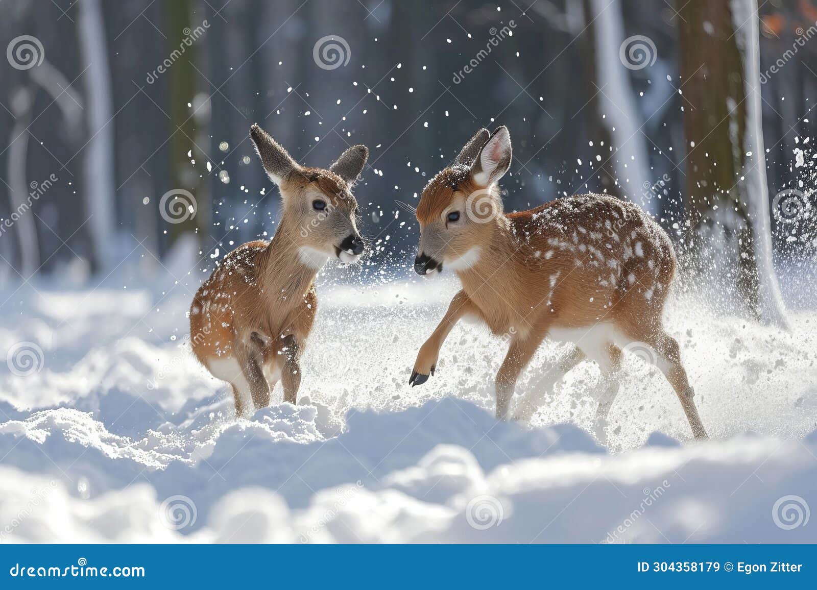 Small Animals in the Snow Playing Together Stock Illustration ...