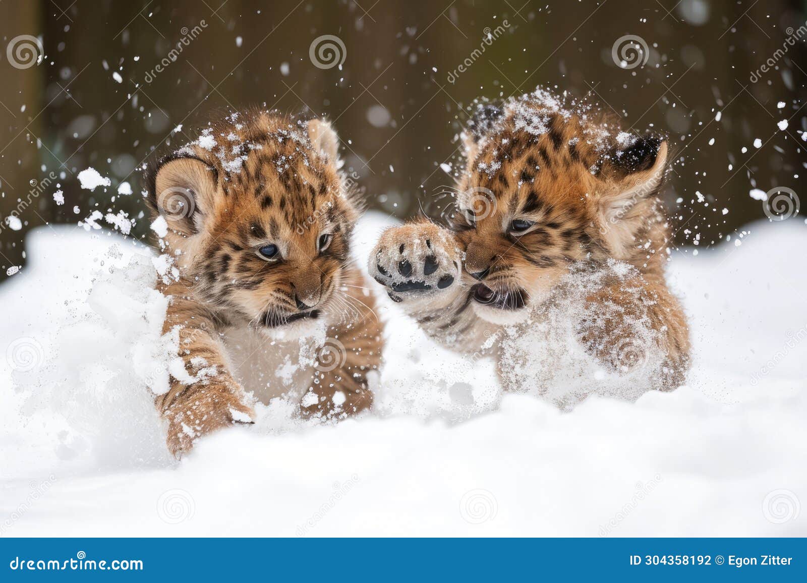 Small Animals in the Snow Playing Together Stock Illustration ...