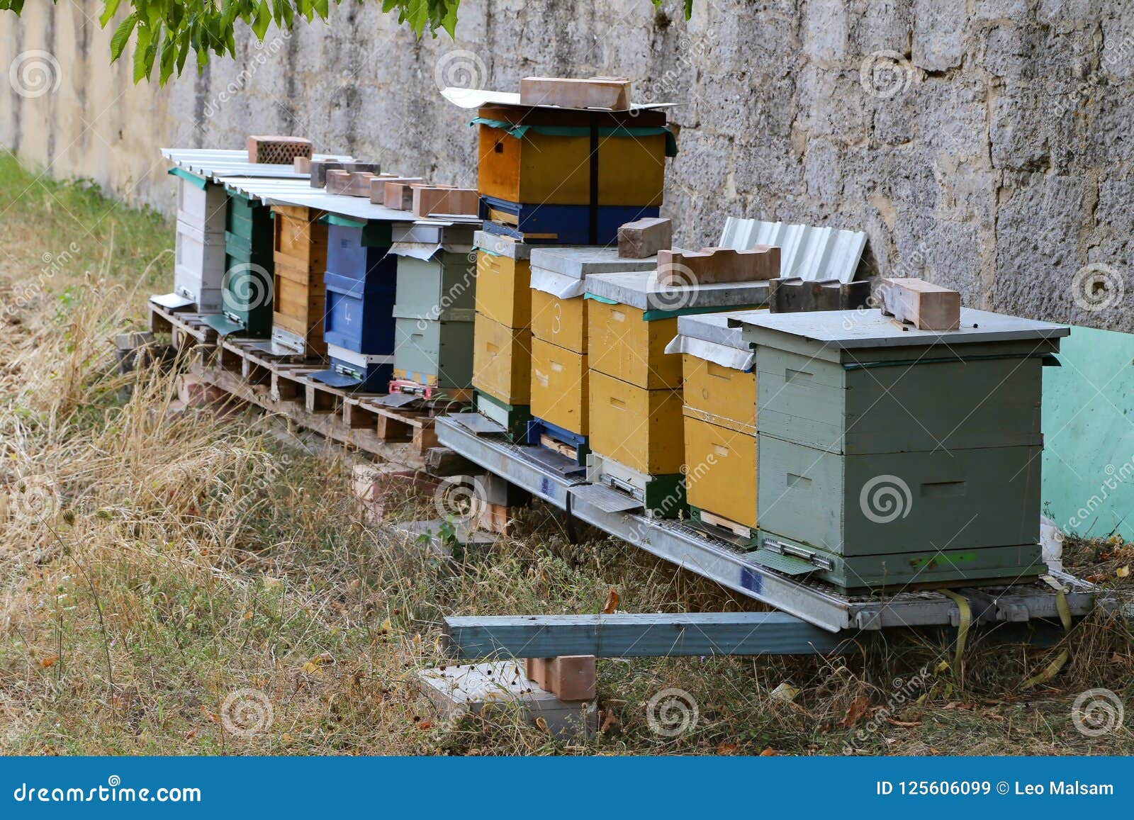 A Small Apiary Near the Wall Stock Image - Image of field, natural ...