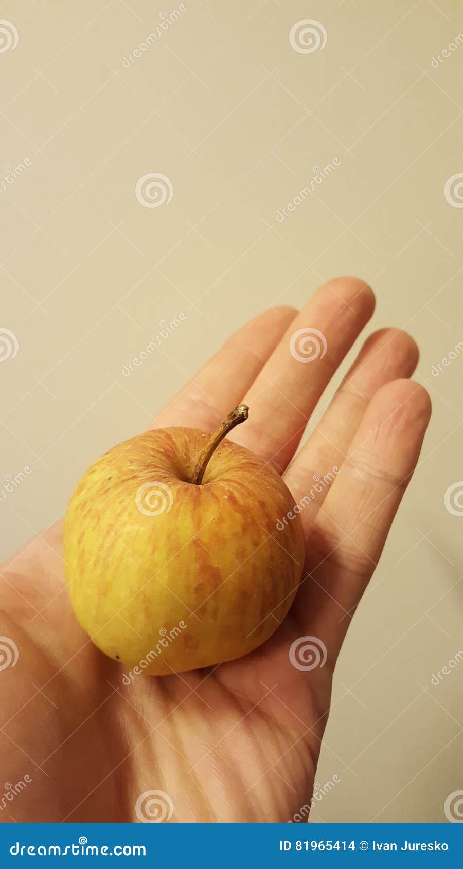 Small apple stock photo. Image of apple, fruit, details - 81965414