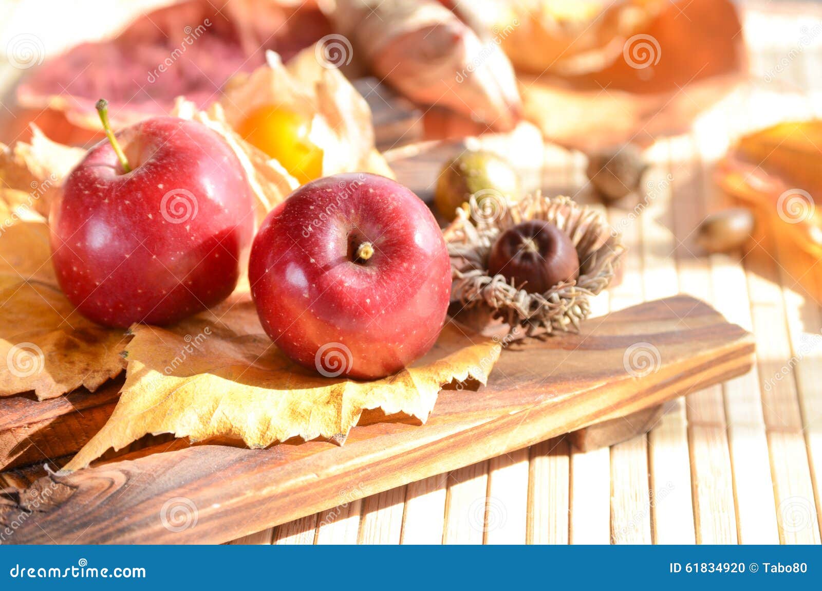 Small apples stock photo. Image of fruit, small, apples - 61834920