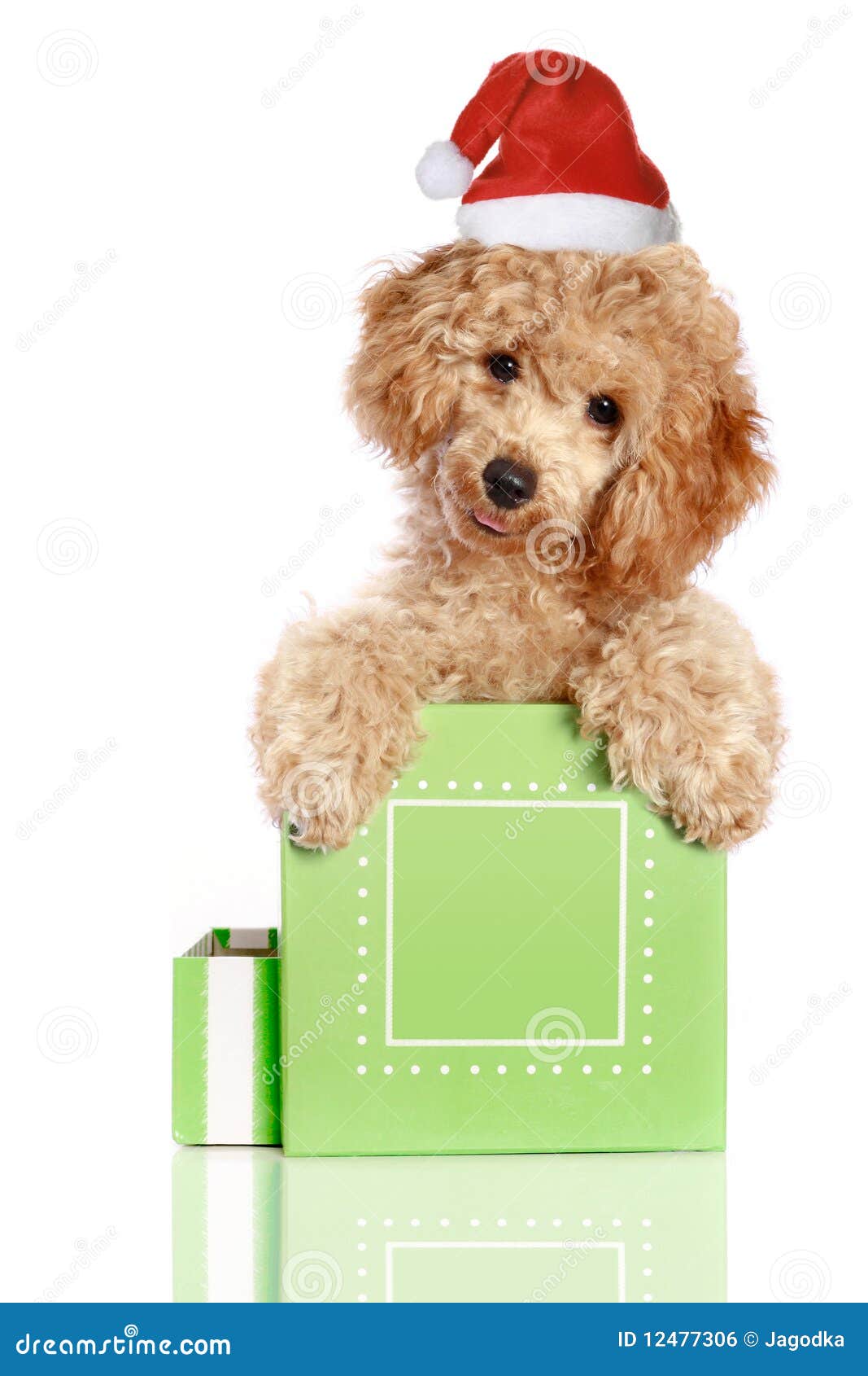 414 Apricot Box Isolated Stock Photos - Free & Royalty-Free Stock ...