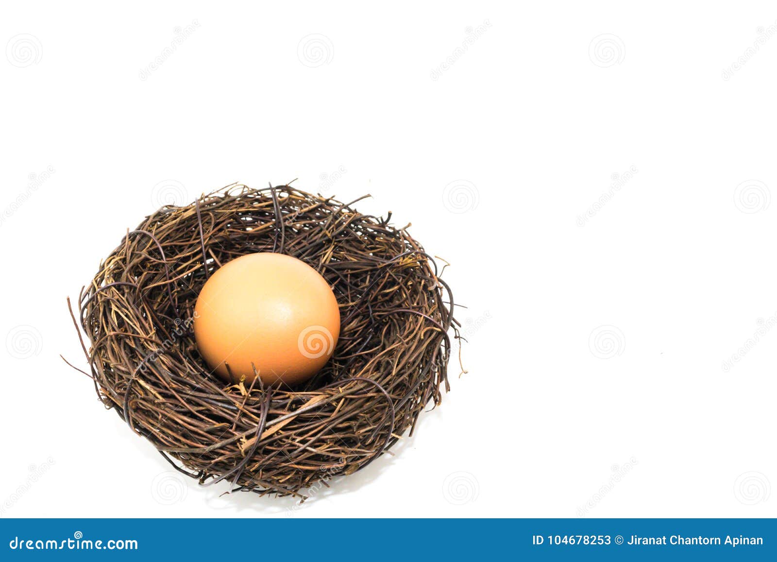The Small Artificial Bird Nest with Egg Stock Image - Image of ...